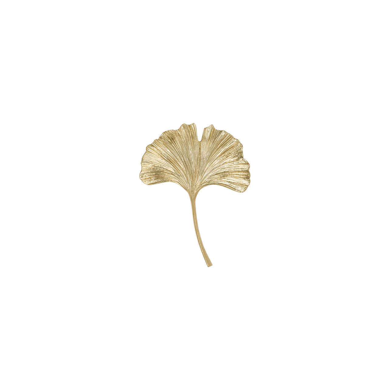 Ginkgo Mini – Eurokonzept